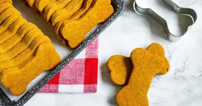 Homemade Dog Food Treats Recipes Vet Approved Your Pup ll Love
